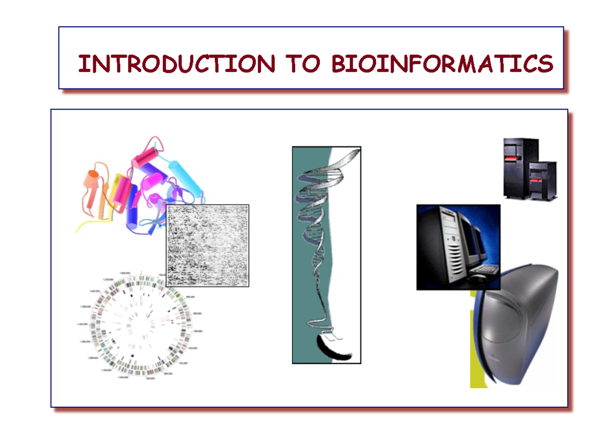 Bioinf Intro 15 fullscreen - INTRODUCTION TO BIOINFORMATICS ...