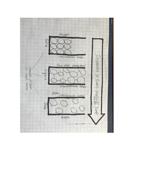 Reaction Rate Lab - Lab report. - Reaction Rate Part 1: Introduction ...