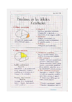 Manual TEST DE Coordinación Motriz 3JS - MANUAL TEST DE COORDINACIÓ N ...