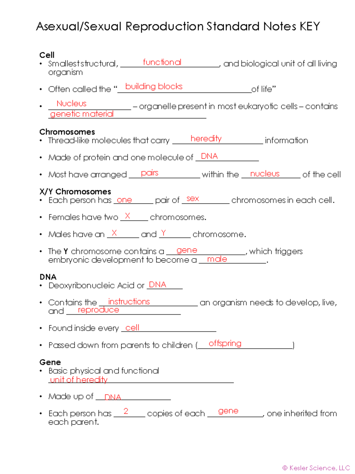 3Explanation Reproduction Presentation Standard Notes Answer Key-230205 ...
