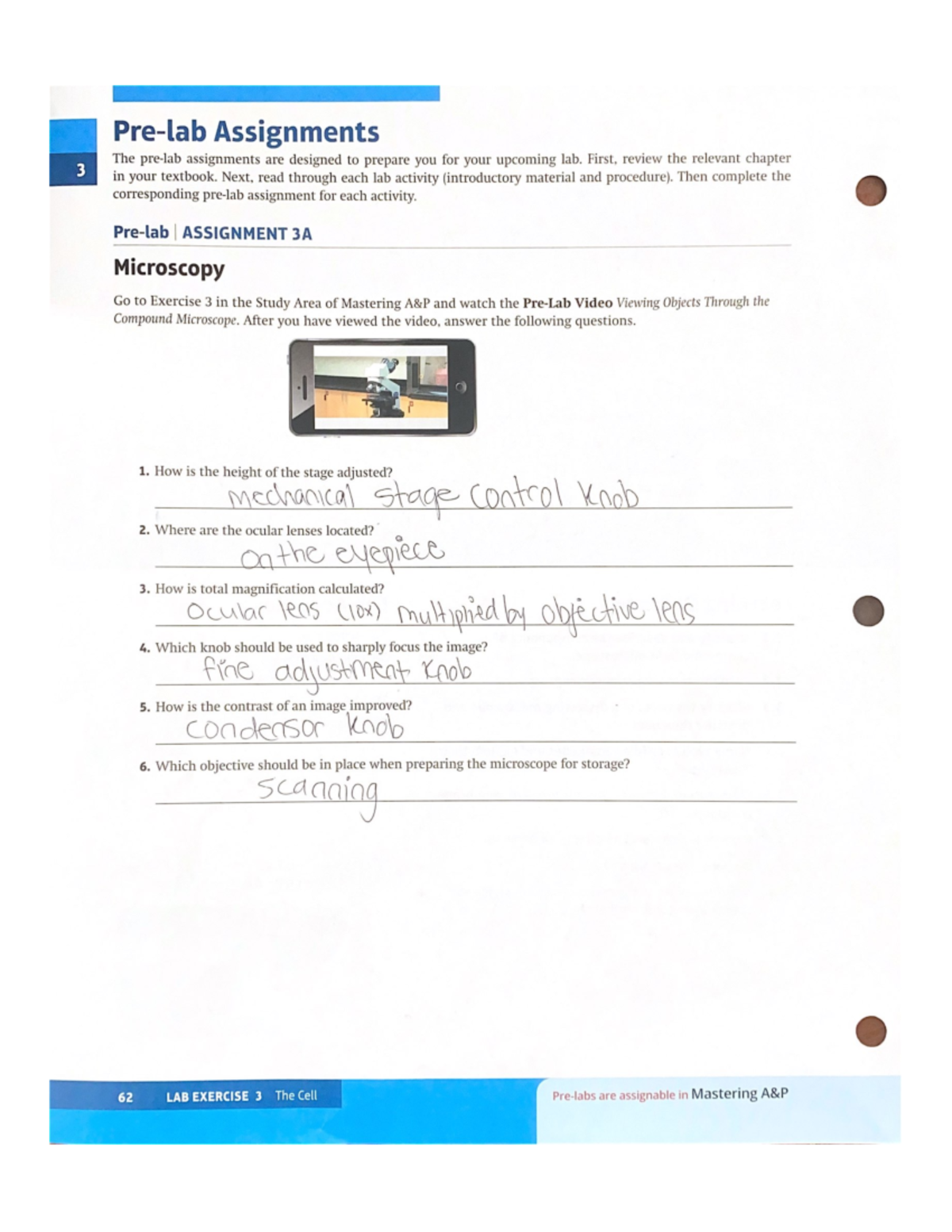 The Cell Prelab - BIOL 430 - Studocu