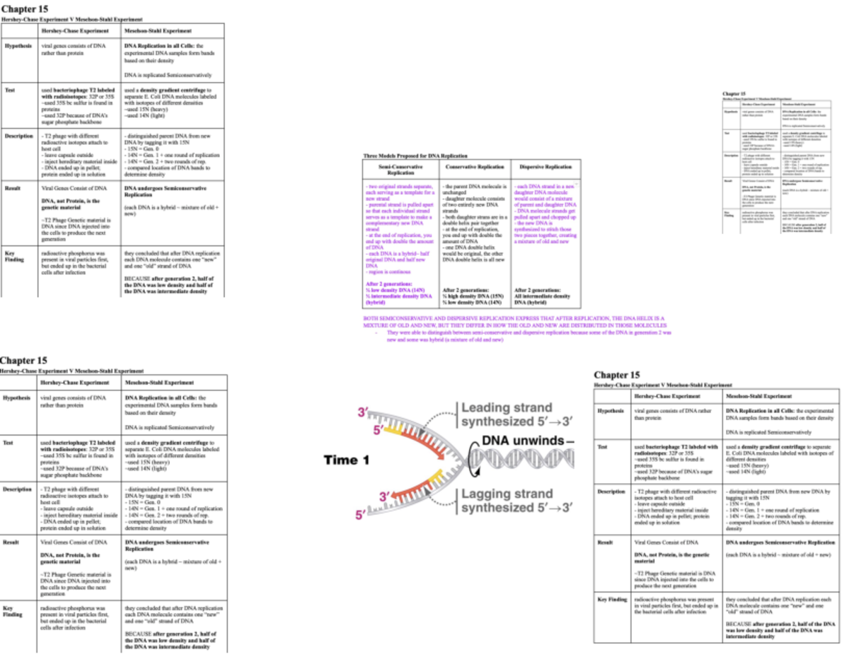 Bio - Unit three summary sheet - BIO 202 - Studocu