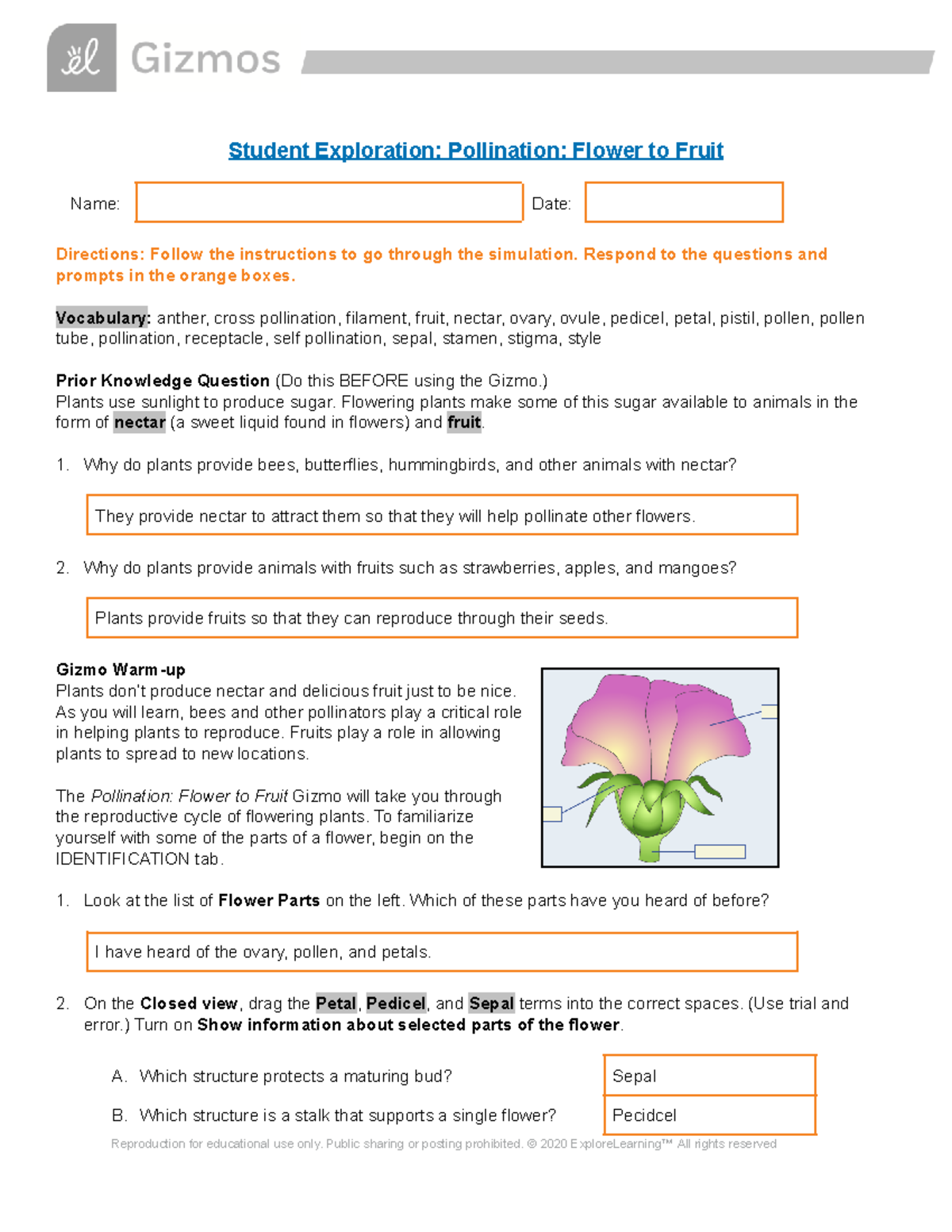 Copy of Pollination Gizmo Google Doc - Student Exploration: Pollination ...