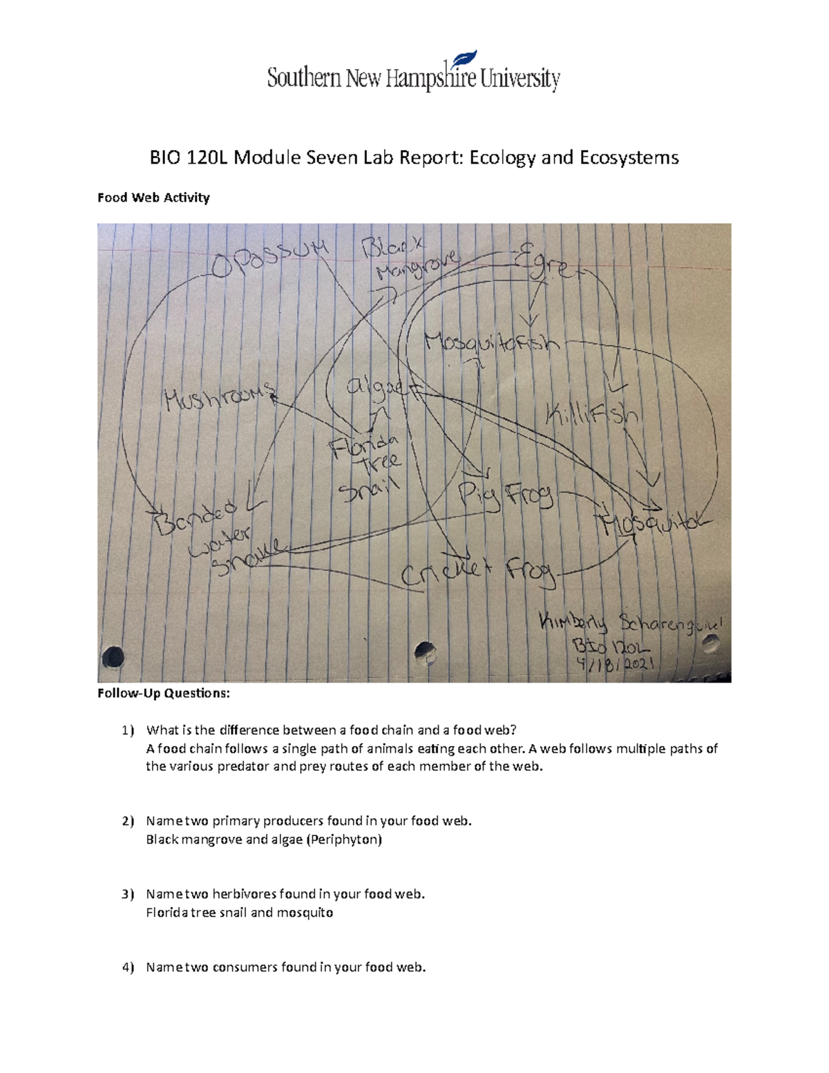 Food Web - Food web assignment for Bio Lab - BIO 120L Module Seven Lab ...