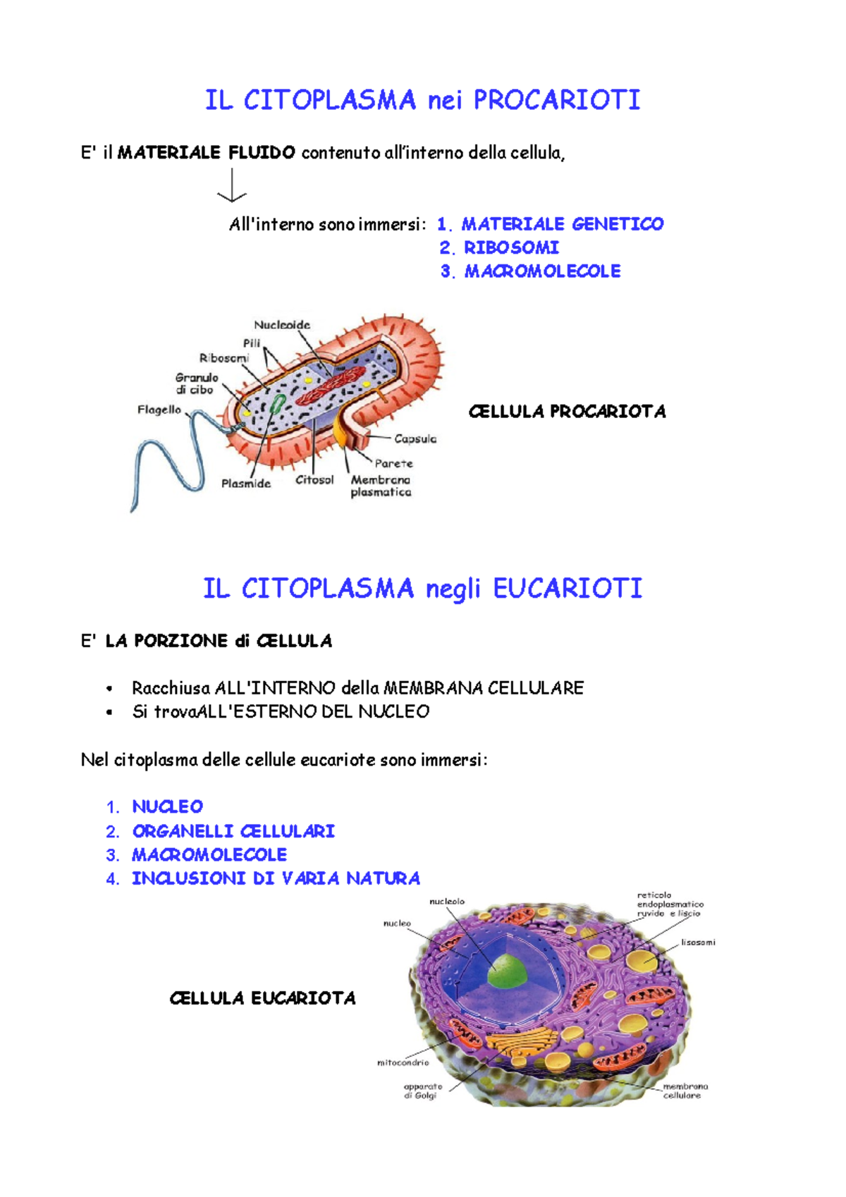 Cellula 4 - Informazioni generali - IL CITOPLASMA nei PROCARIOTI E' il ...