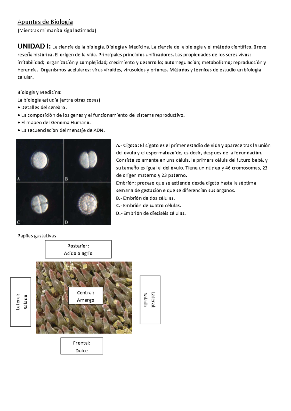 Apuntes (mano lastimada) - Posterior: Acido o agrio Lateral: Salado ...