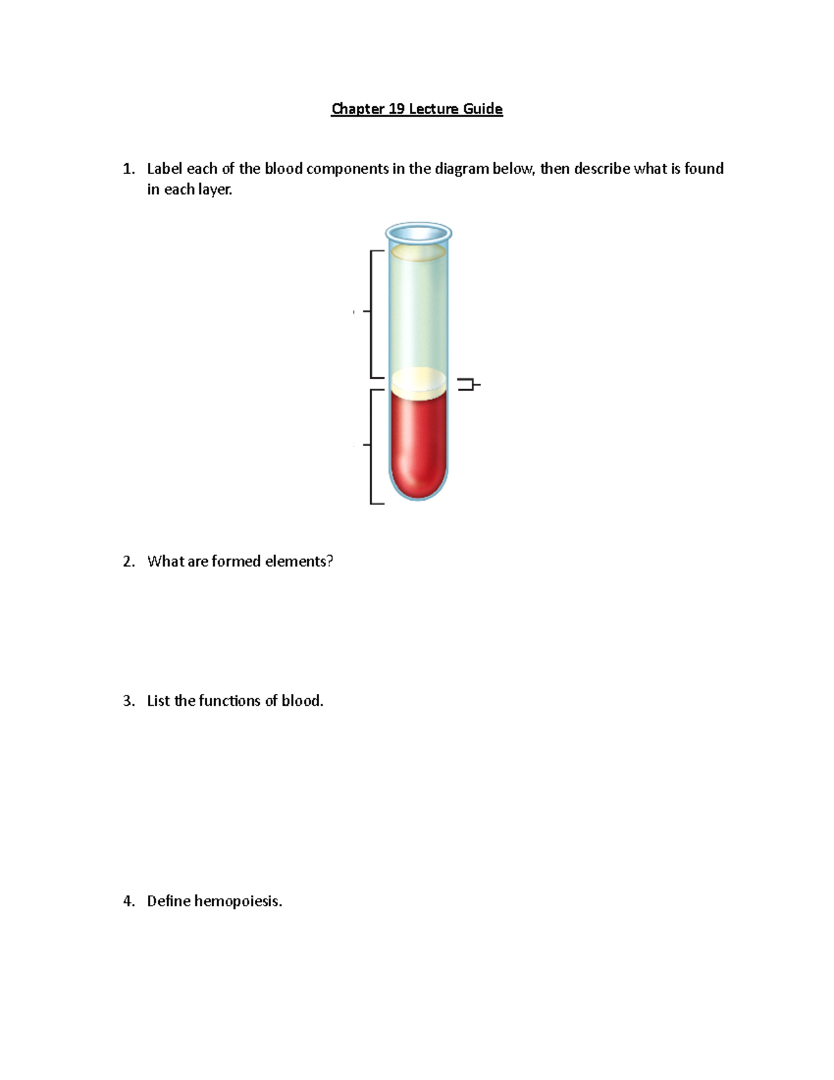 AP1 Chapter 19 Lecture Guide - Chapter 19 Lecture Guide Label each of ...