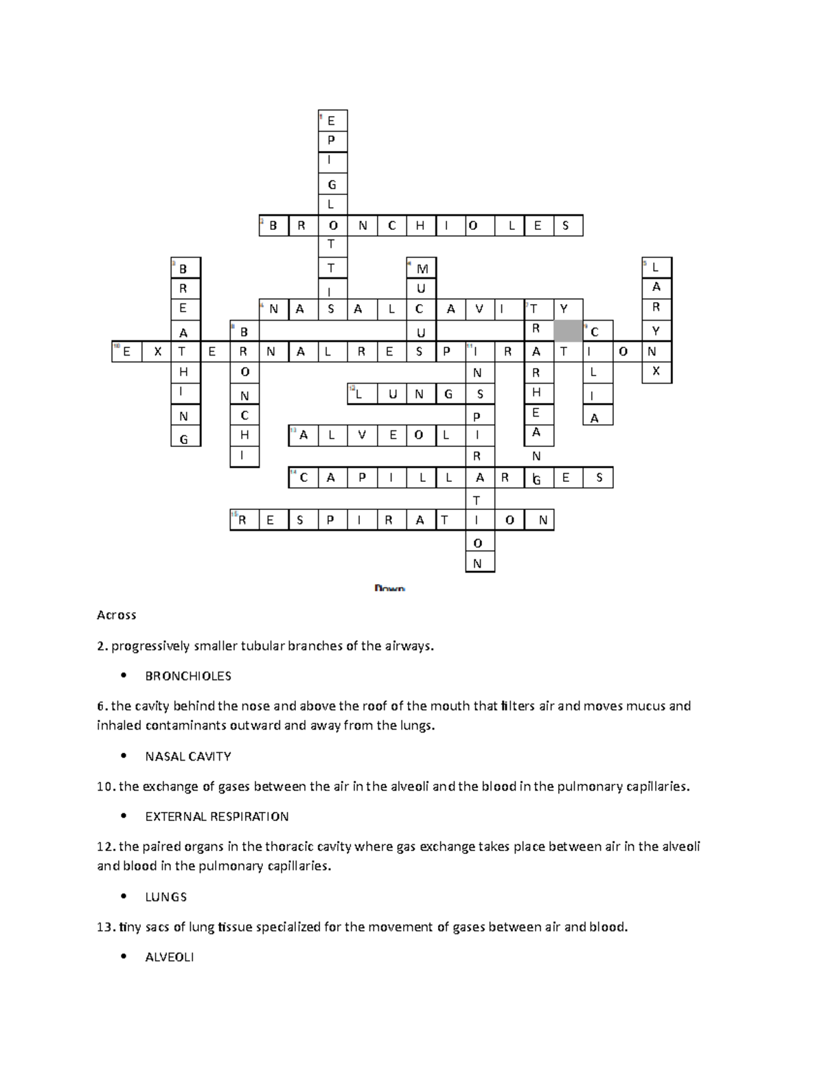 Module 9 - PRE TASK - asdasdasdas - Across 2. progressively smaller ...