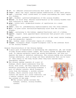 Chapter 22 Reproductive System - Understanding Words Andr-, man: andr ...