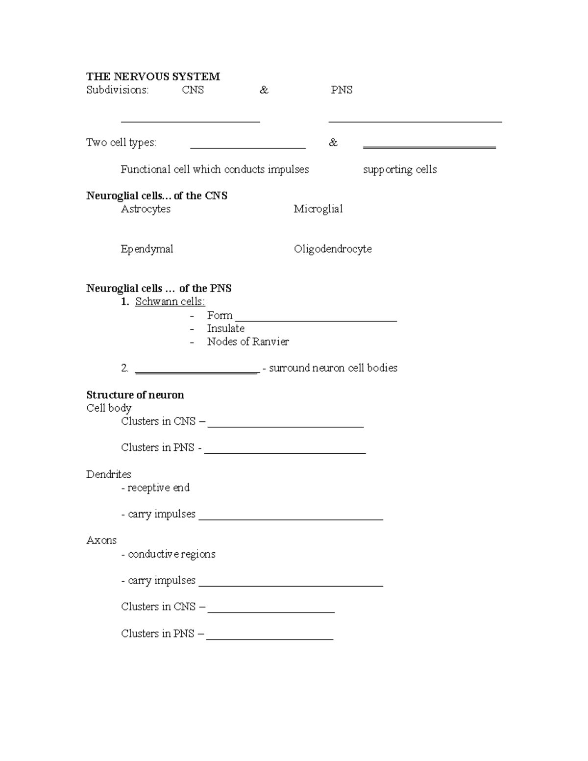 #8 - Nervous outline - THE NERVOUS SYSTEM Subdivisions: CNS & PNS