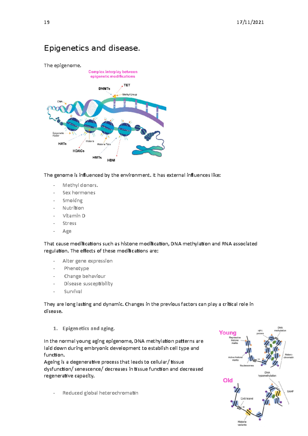 Epigenetics and diseases - The epigenome. The genome is influenced by ...