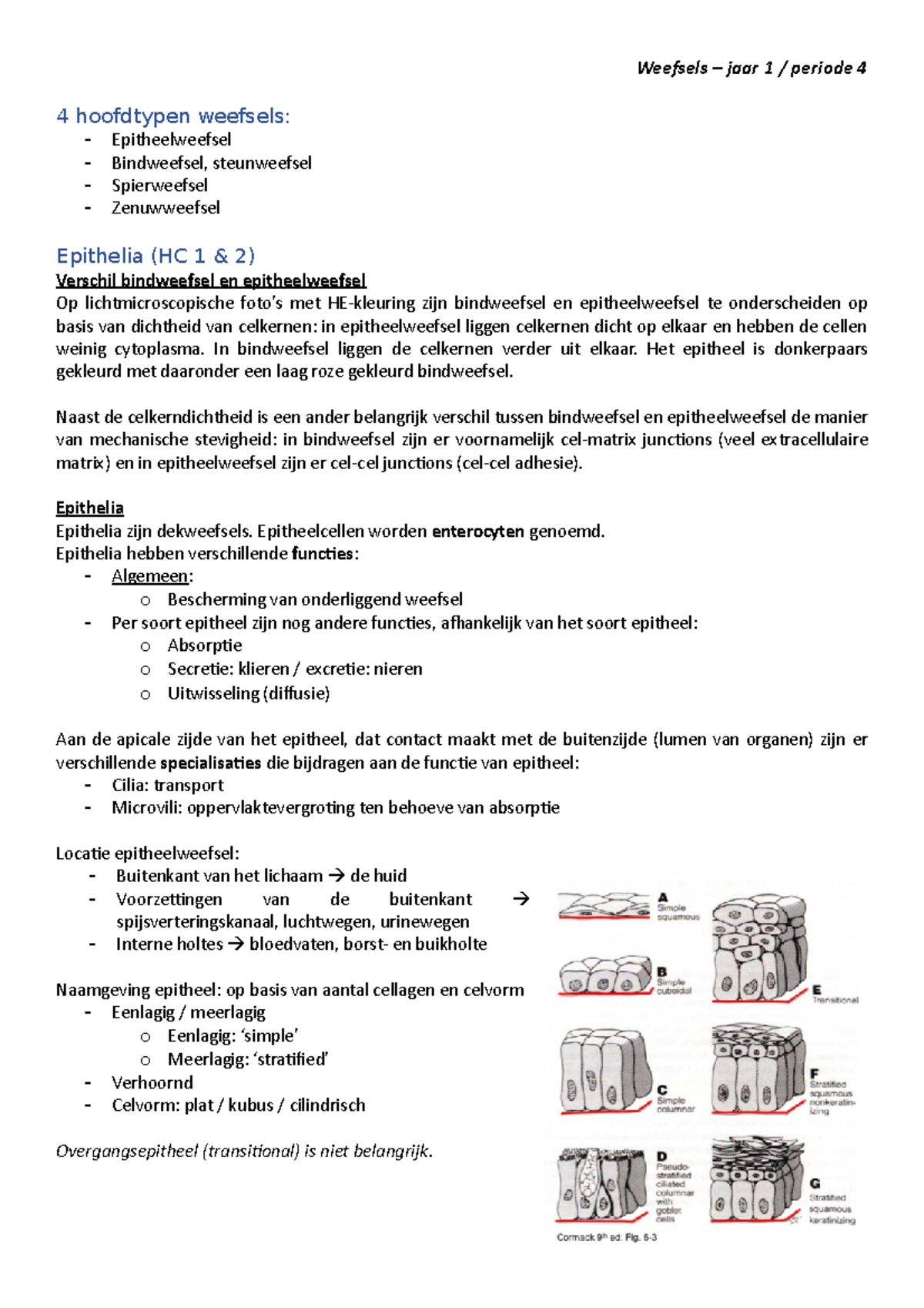 Samenvatting Epitheel, Pathologie & Bindweefsel - Weefsels jaar 1 ...