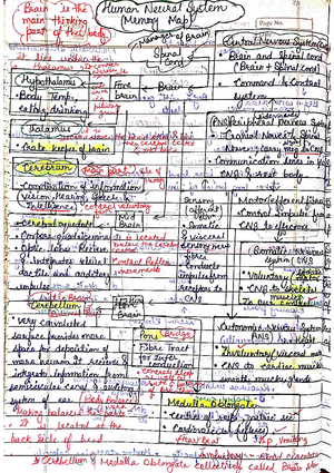 Some important - Handwritten notes on Invertebrates - Human Anatomy ...
