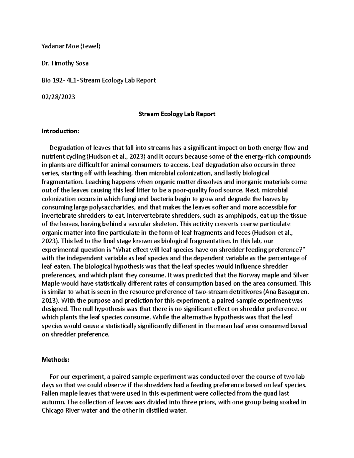 Stream Ecology Lab Report - Yadanar Moe (Jewel) Dr. Timothy Sosa Bio ...