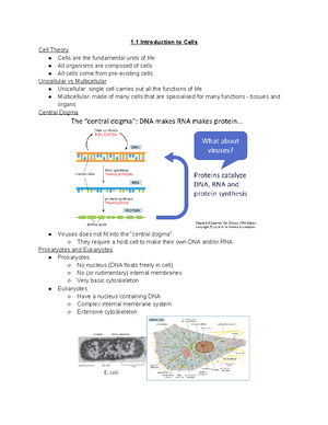 From Molecules to Cells - From Molecules to Cells: Lecture 1: Cell ...