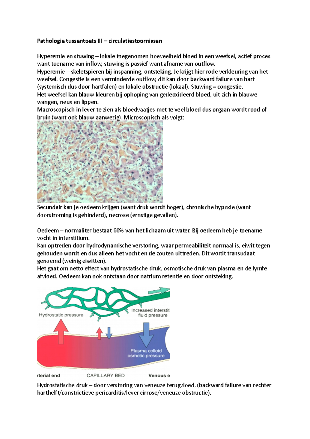 Pathologie tussentoets III - Hyperemie – skeletspieren bij inspanning ...