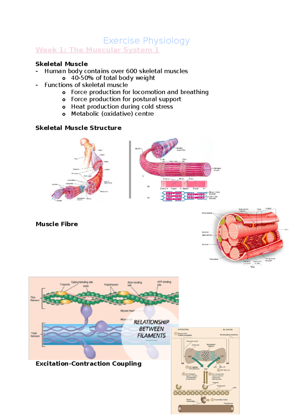 Exercise Physiology - Weeks 1 - 5 - Exercise Physiology Week 1: The ...
