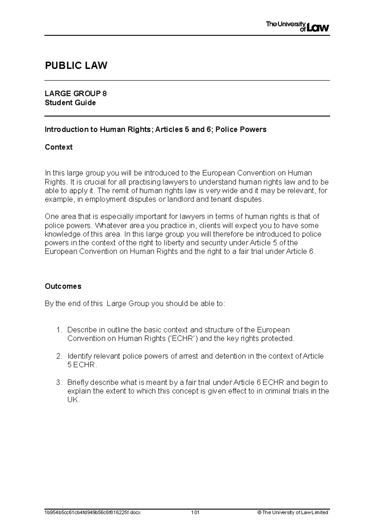 Public law large group WS8 - PUB2008 - Studocu