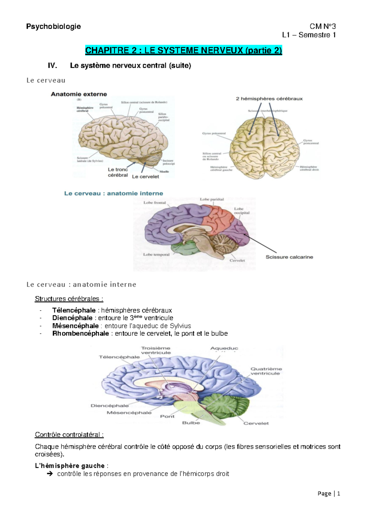 CM3 Psychobio - Licence 1 Psychologie - Warning: TT: undefined function ...