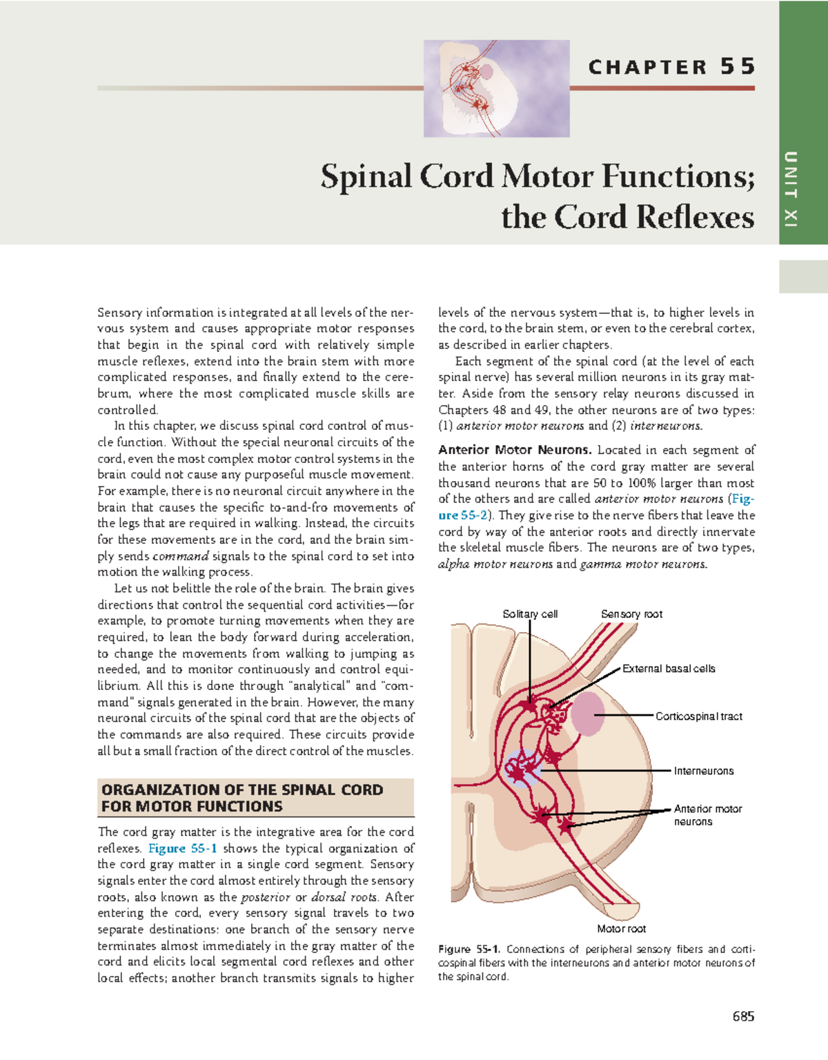 Guyton and Hall textbook of medical physiology 14th Edition ...