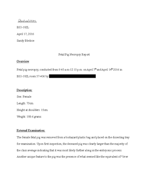Transpiration and Stomatal Peel Worksheet-Example - Directions ...