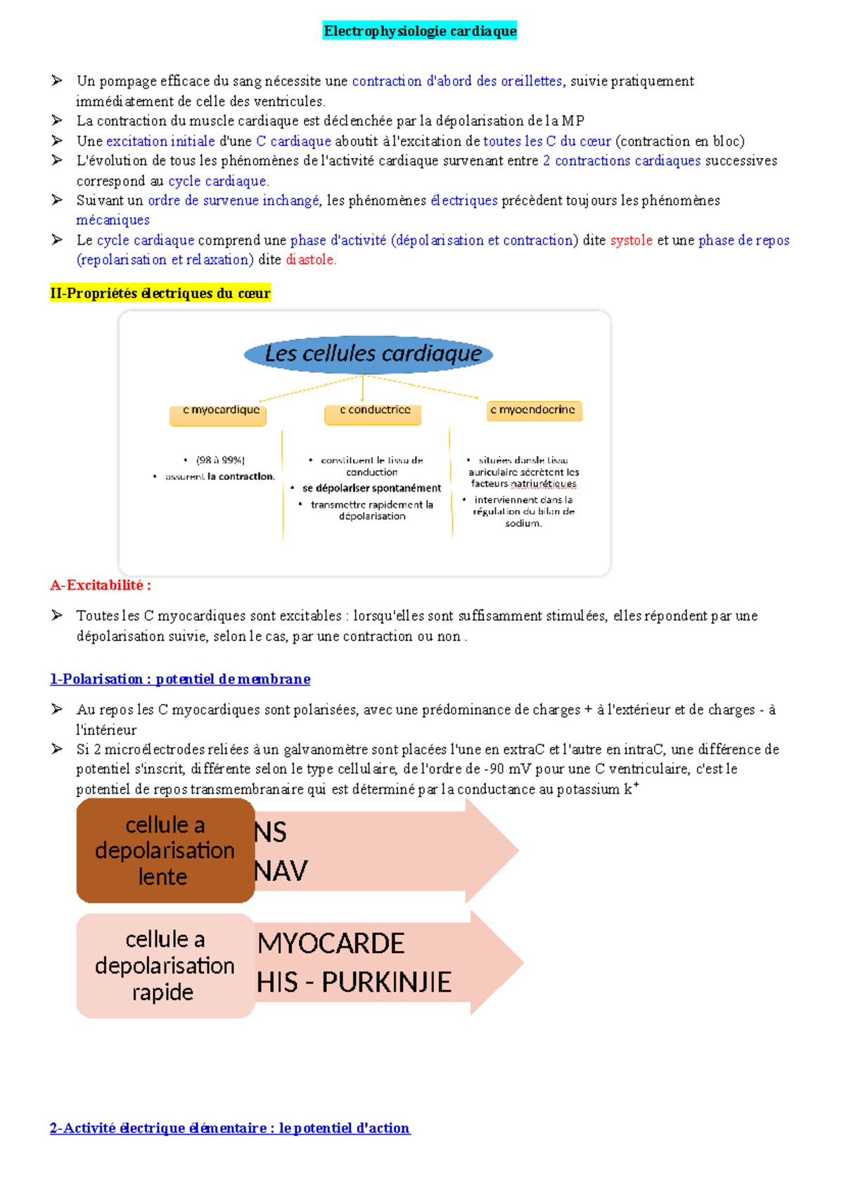 1-Electrophysiologie cardiaque N.M - Electrophysiologie cardiaque Un ...