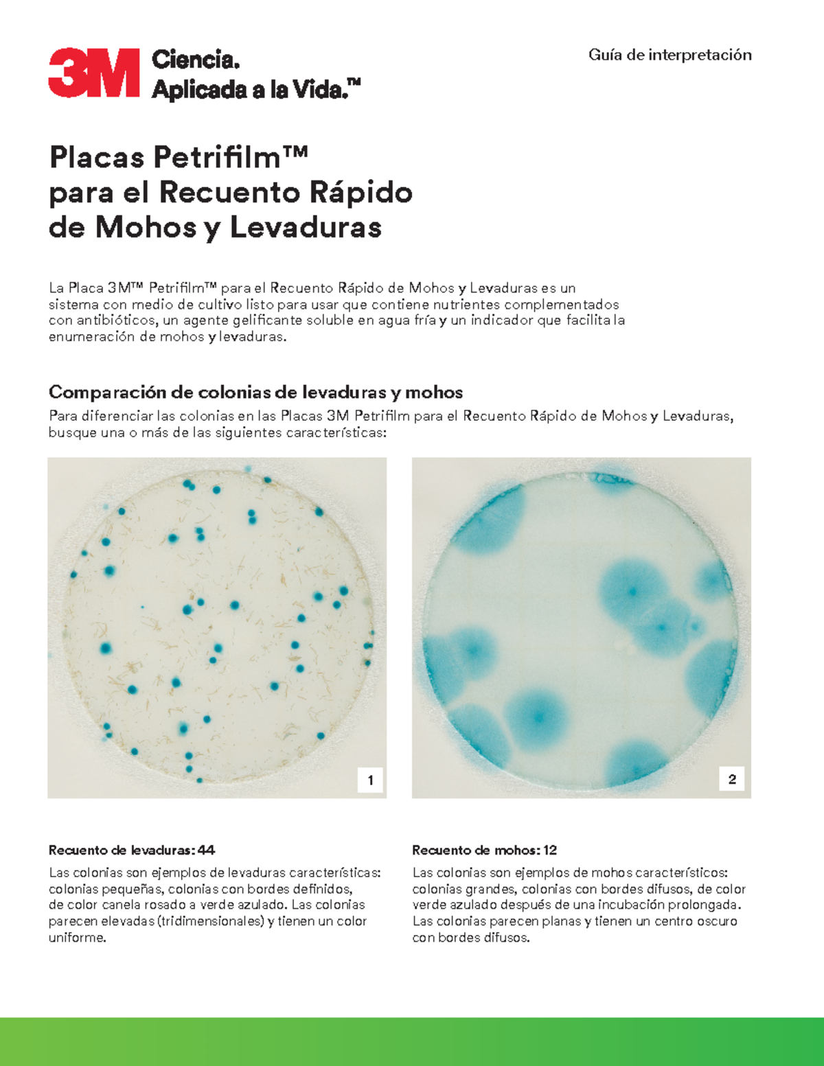 Guia Interpretacion Hongos y Levaduras Rapida - Guía de interpretación ...