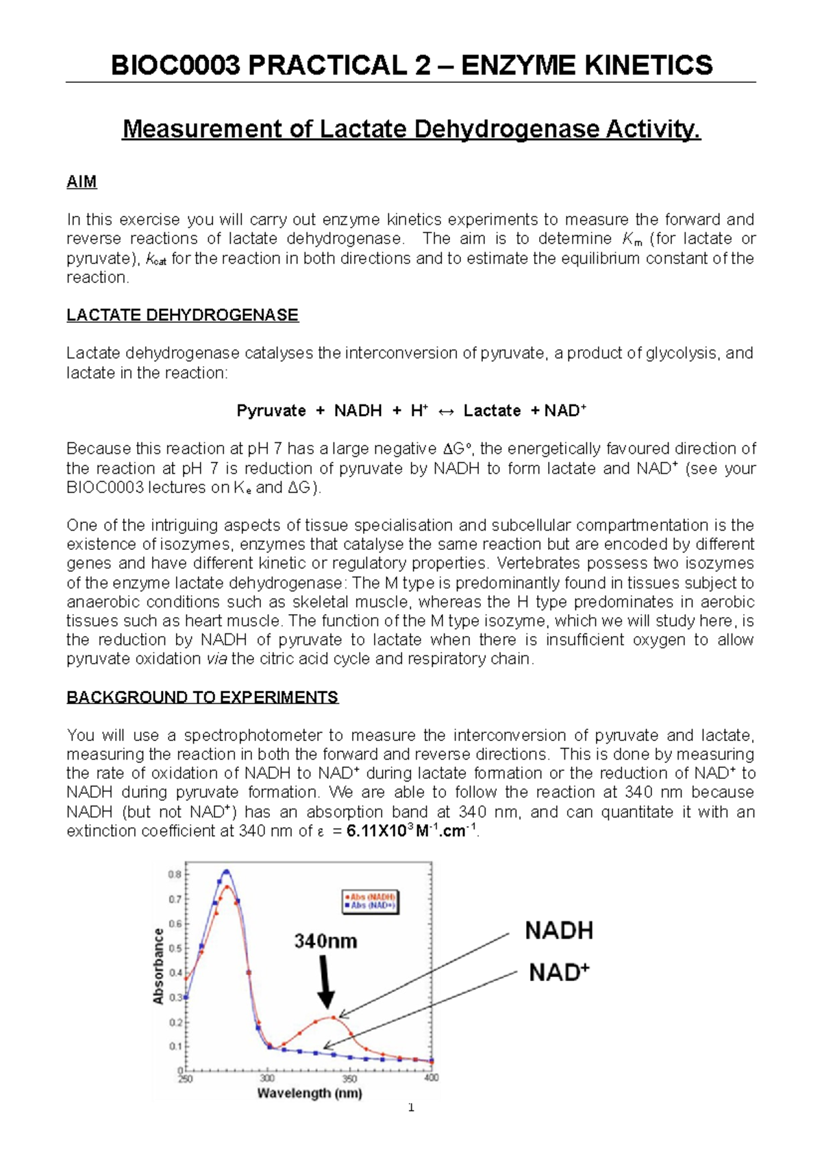 Practical 2 schedule - Measurement of Lactate Dehydrogenase Activity ...