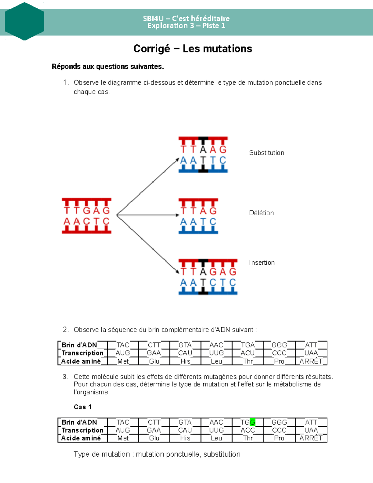 SBI4U M4 EX3 piste 1-corrige - Corrigé – Les mutations Réponds aux ...