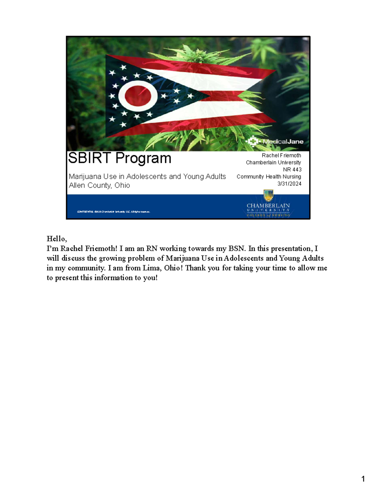 NR 443 Sbirt Program PP - CONFIDENTIAL ©2020 Chamberlain University LLC ...