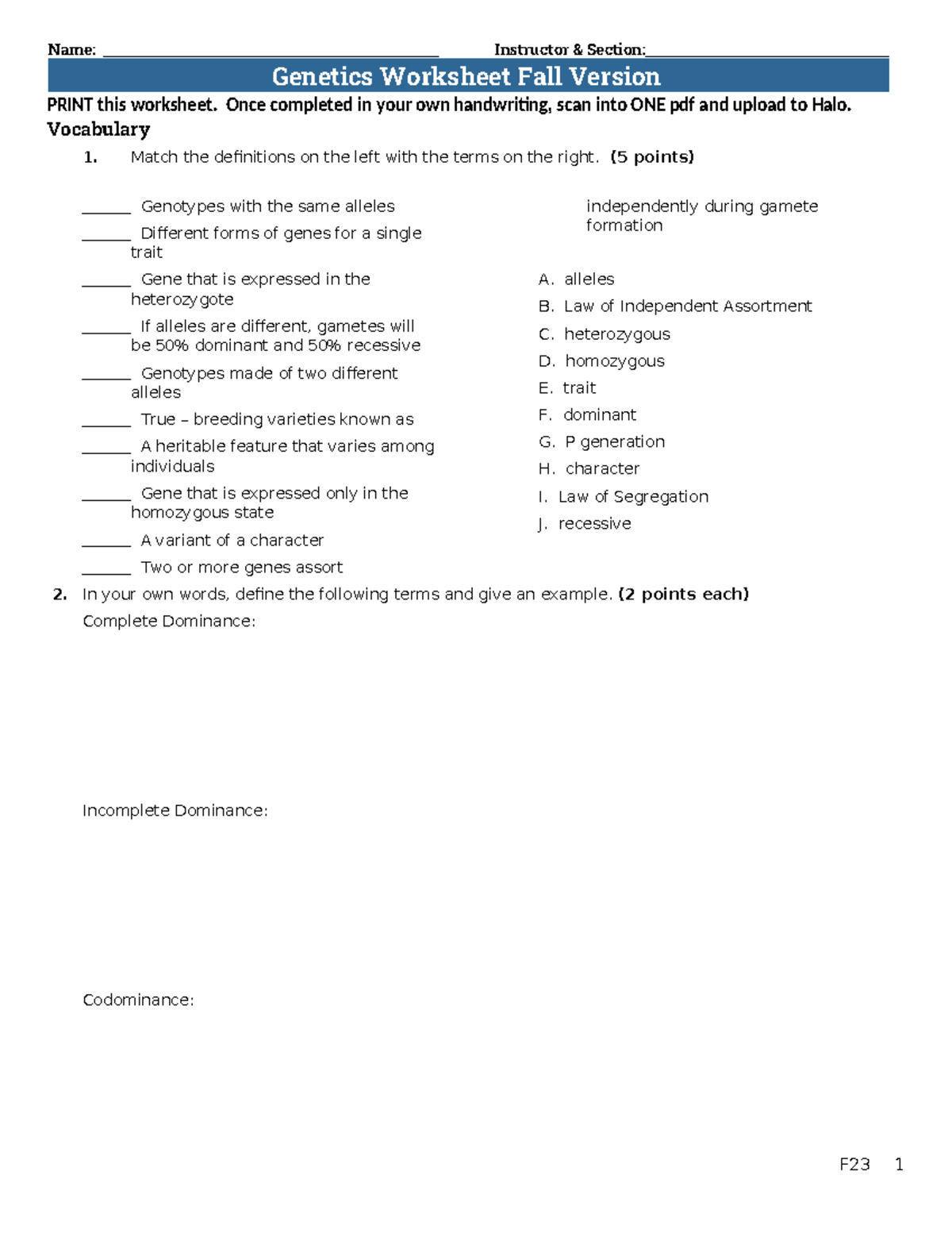 9 Genetics Punnett Square worksheet Fall version - Genetics Worksheet ...