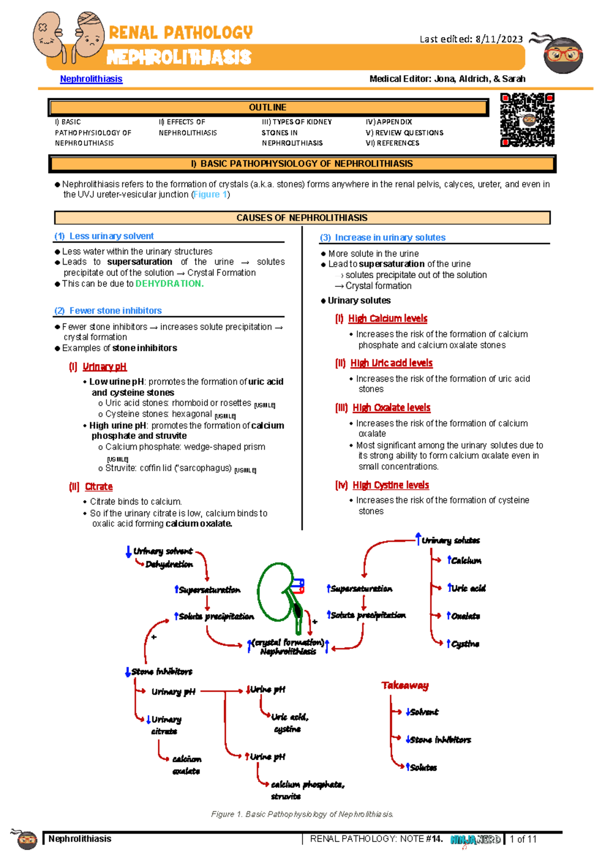 10330140 - Renal Pathology - 014 ] Nephrolithiasis ~ Kidney Stones ...