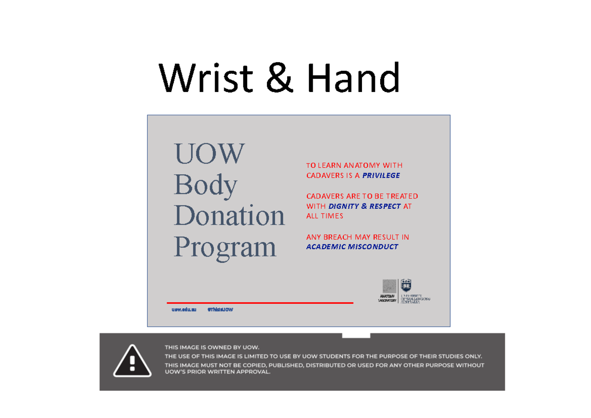 Week 7 Wrist 2020 - Lecture notes 7 - Wrist & Hand UOW Body Donation ...