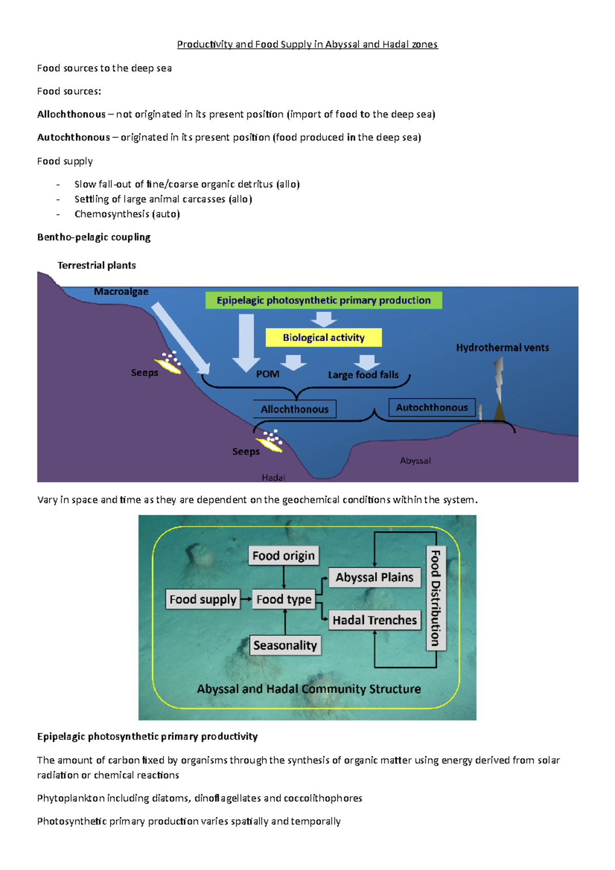 3. Productivty and food supply - Productivity and Food Supply in ...