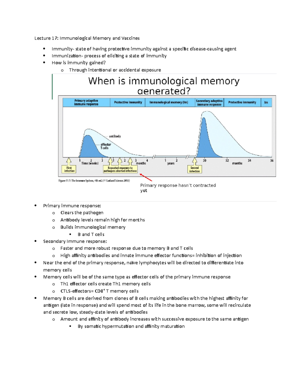 Lecture 17: Immunological Memory and Vaccines - Lecture 17 ...