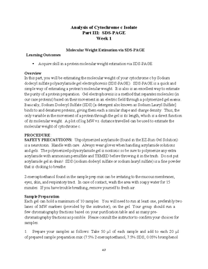Biochem I Cytochrome c Project Lab Report Rubric - BIOCHEM I Cytochrome ...