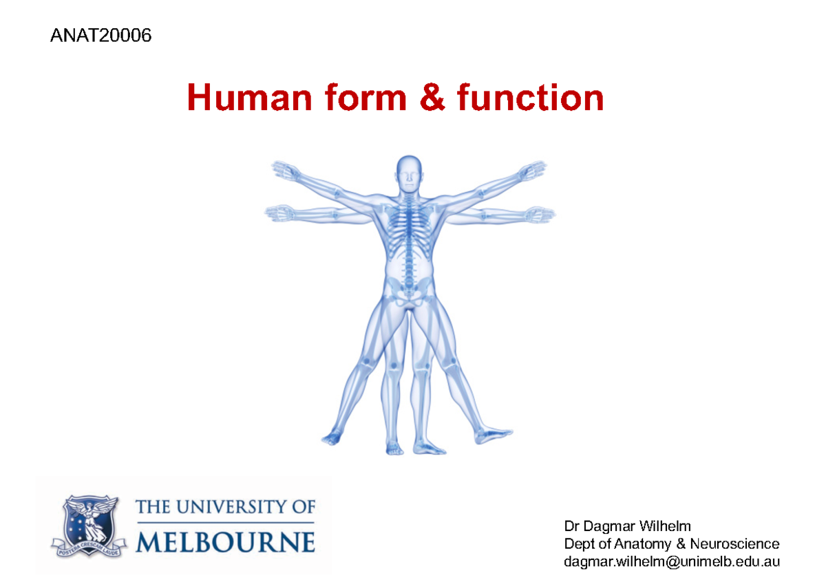 Week 2 lect 2 - Human form and function - Human form function Dr Dagmar ...