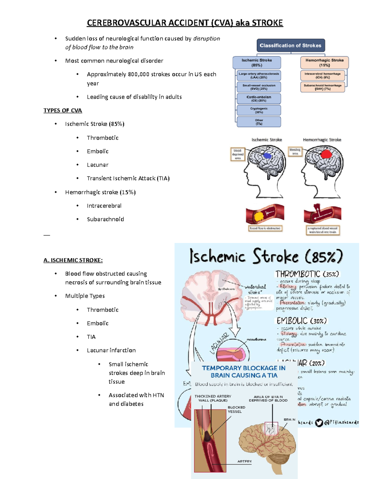 Cerebrovascular Accident - CEREBROVASCULAR ACCIDENT (CVA) aka STROKE ...