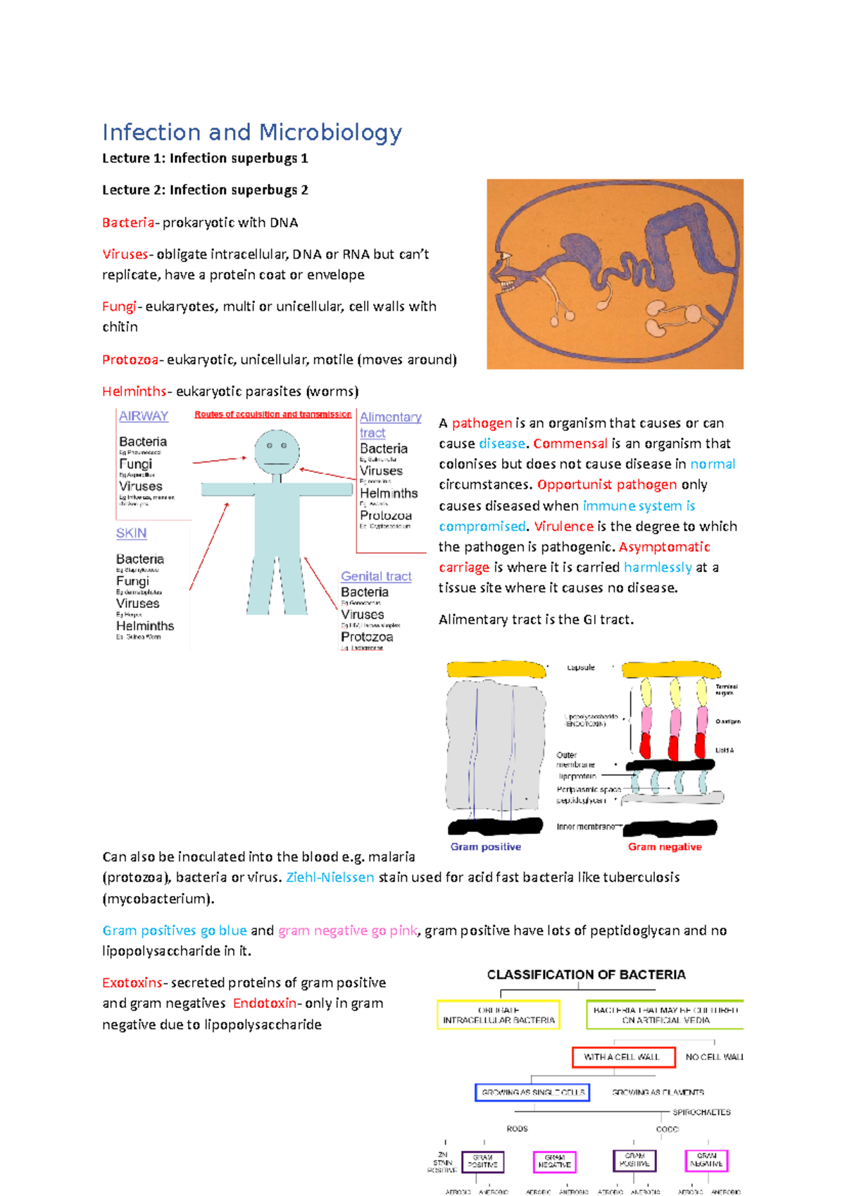 Infection and Microbiology LO revision - Infection and Microbiology ...