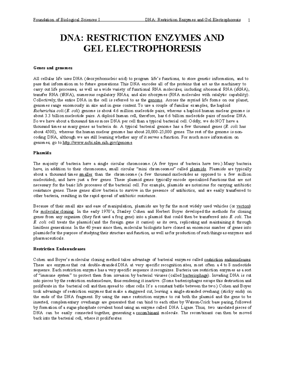 Fall 2024 DNA Gel Electrophoresis - DNA: RESTRICTION ENZYMES AND GEL ...