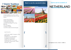 NIRN CIP Implementation Plan Template and Examples fillable v1 ...