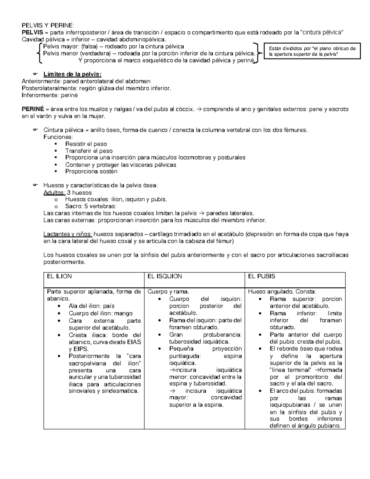 Pelvis Y Perine - Apuntes de Moore - PELVIS Y PERINE: PELVIS = parte ...