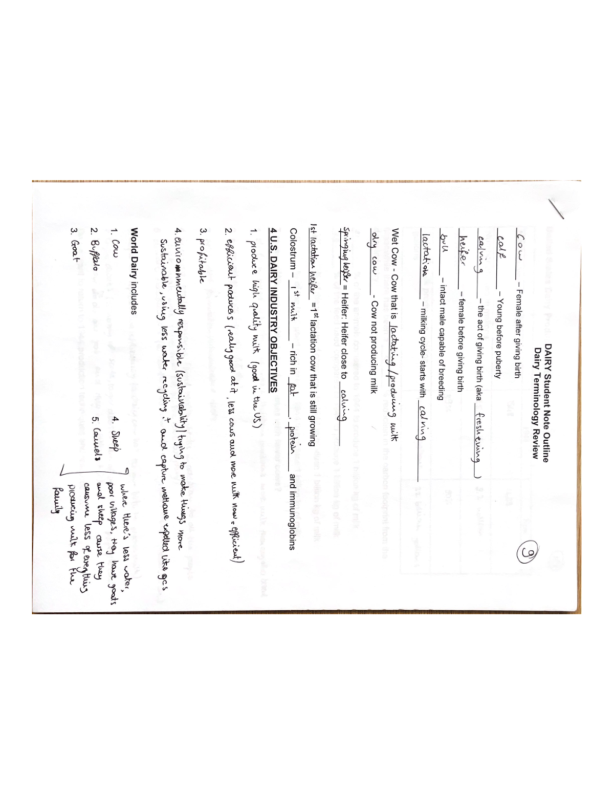 Dairy Student Note Outline - DAIRY Student Note Outline Dairy ...