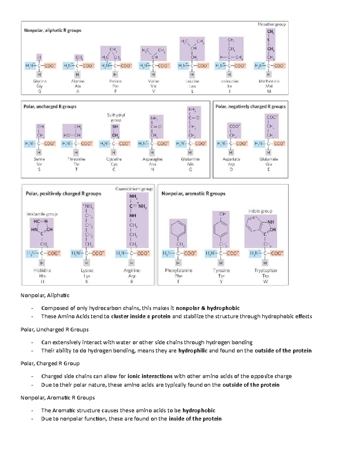 Molecular Biology - Amino Acids Info Sheet - Nonpolar, Aliphatic ...