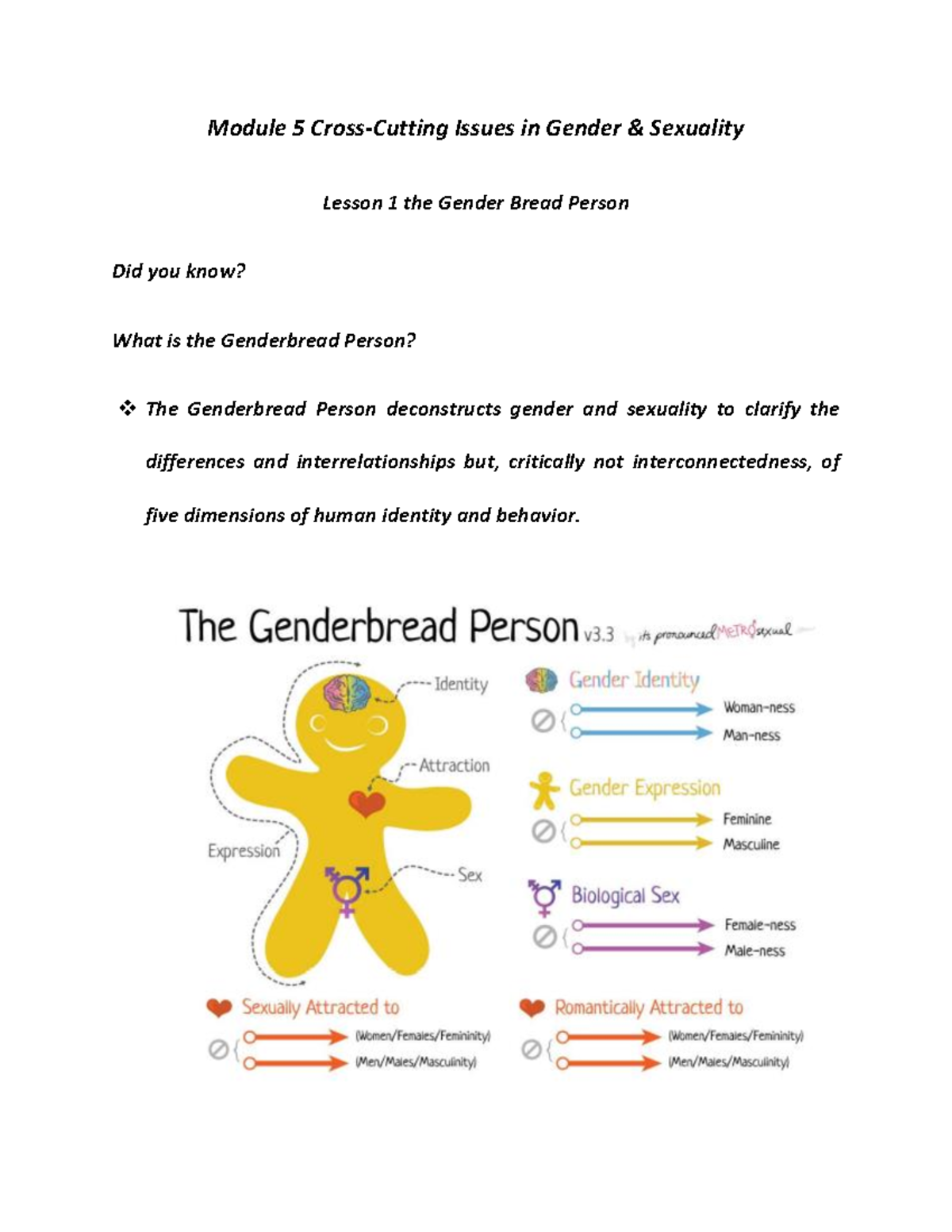 Lesson 1 the Gender Bread Person - Module 5 Cross-Cutting Issues in ...