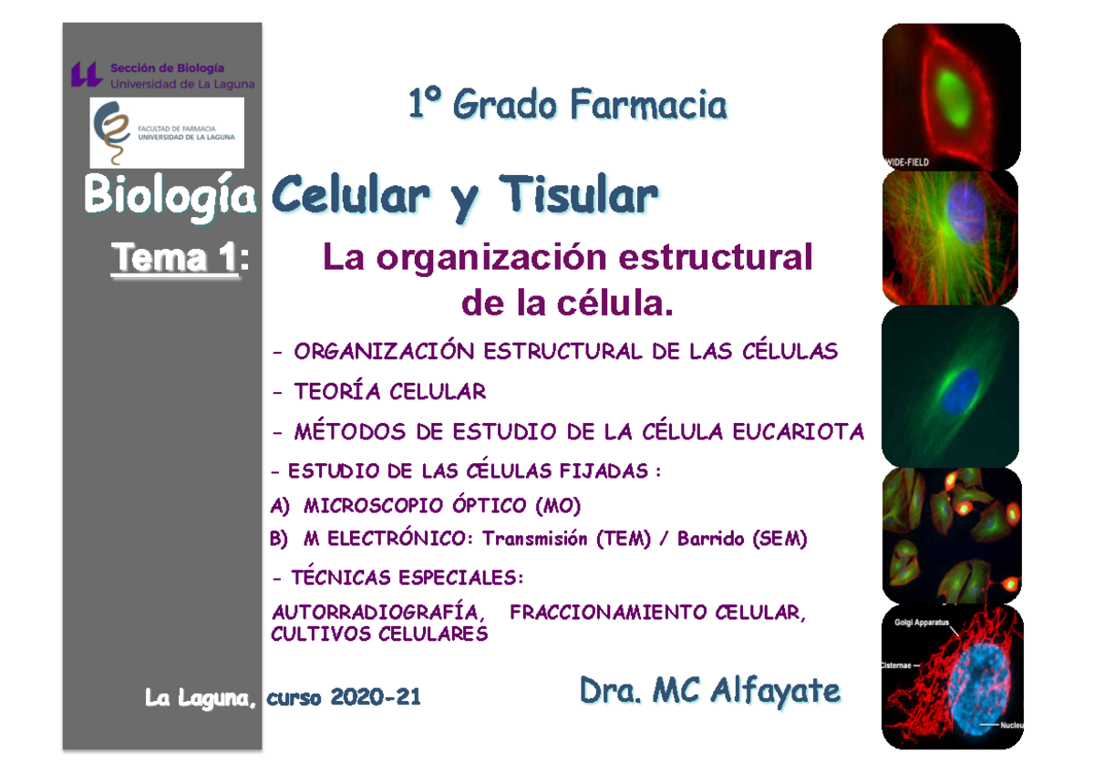 TEMA 1 20-21 - Introducción a la biología celular y tisular - La ...