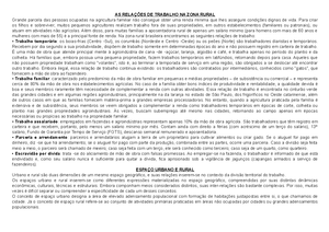 Inervação motora da cabeça e do pescoço - Inervaçã motor d cabeç d ...