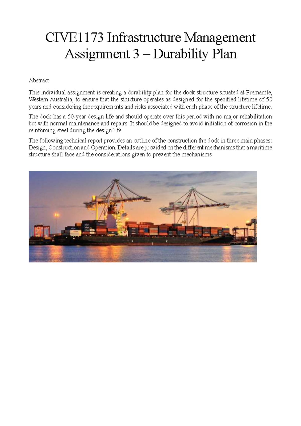 CIVE1173 Individual Assignment - CIVE1173 Infrastructure Management Assignment 3 – Durability ...