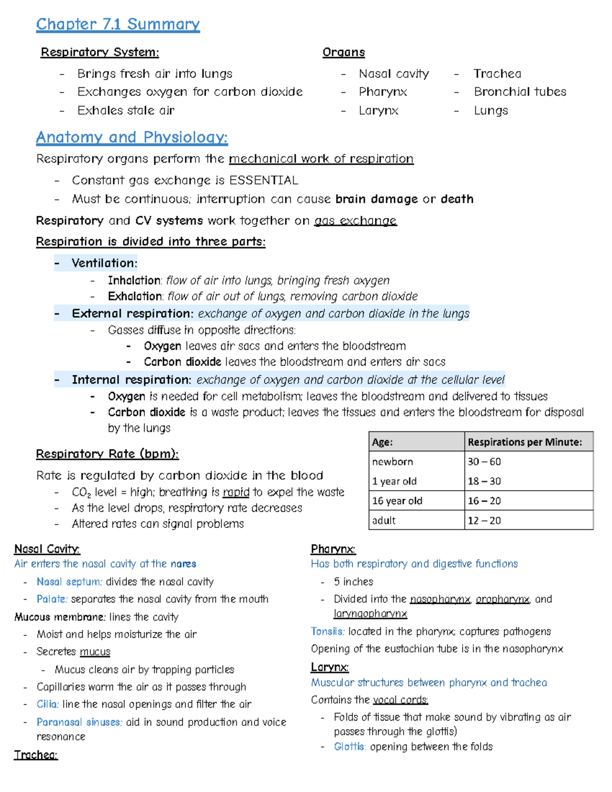 Chapter 7.1 - Respiratory System Summary - Chapter 7 Summary ...