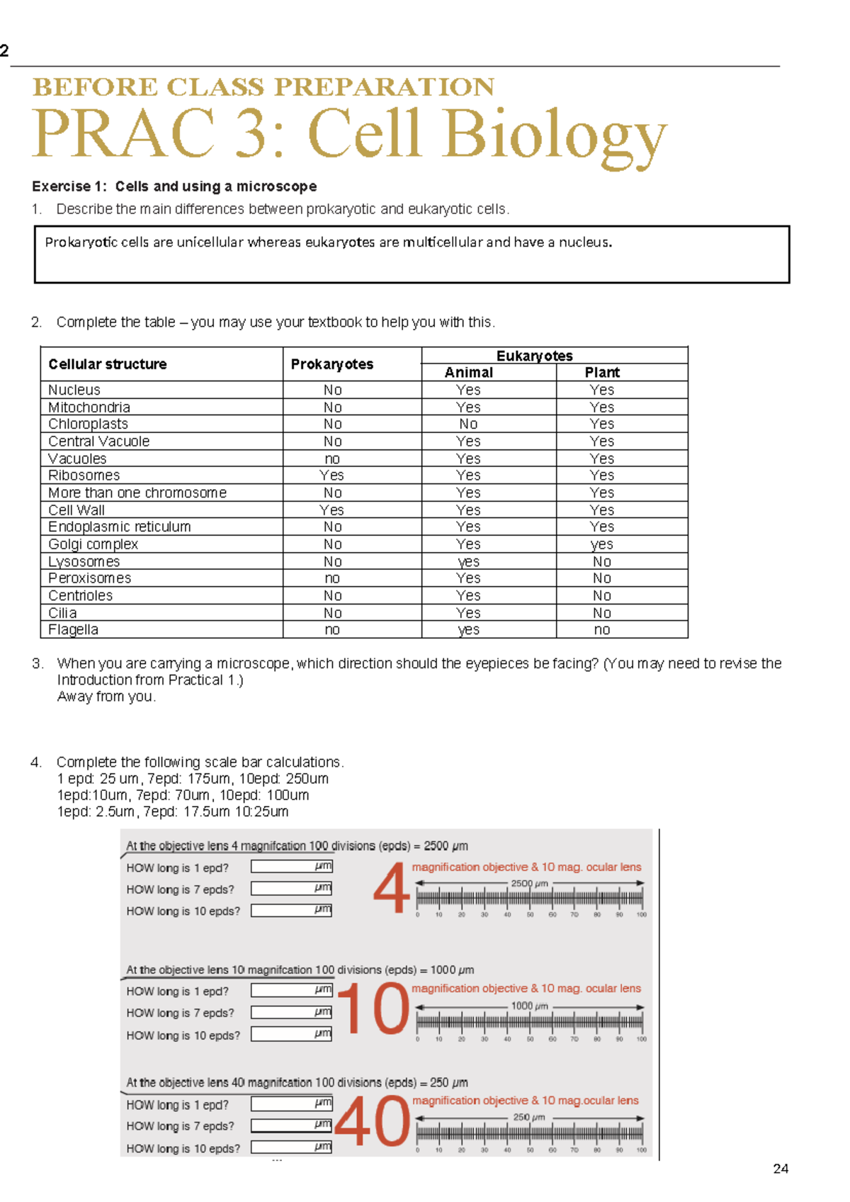 Mitosis practical - 2 BEFORE CLASS PREPARATION PRAC 3: Cell Biology ...